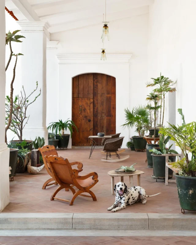 Home - MML Hospitality